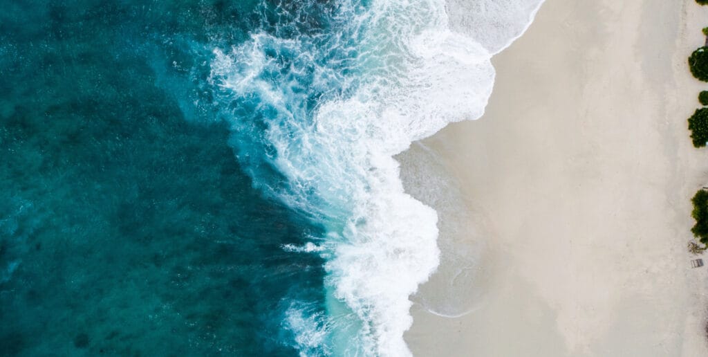 Port Charges - Alinea Customs