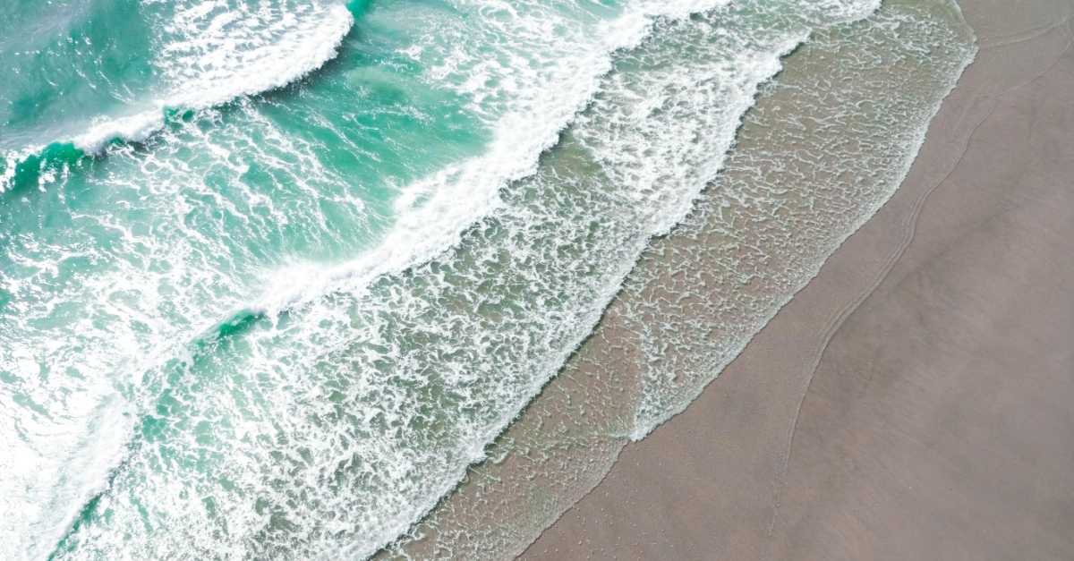 Rules of Origin in International Trade: Legal Foundations, Applications ...